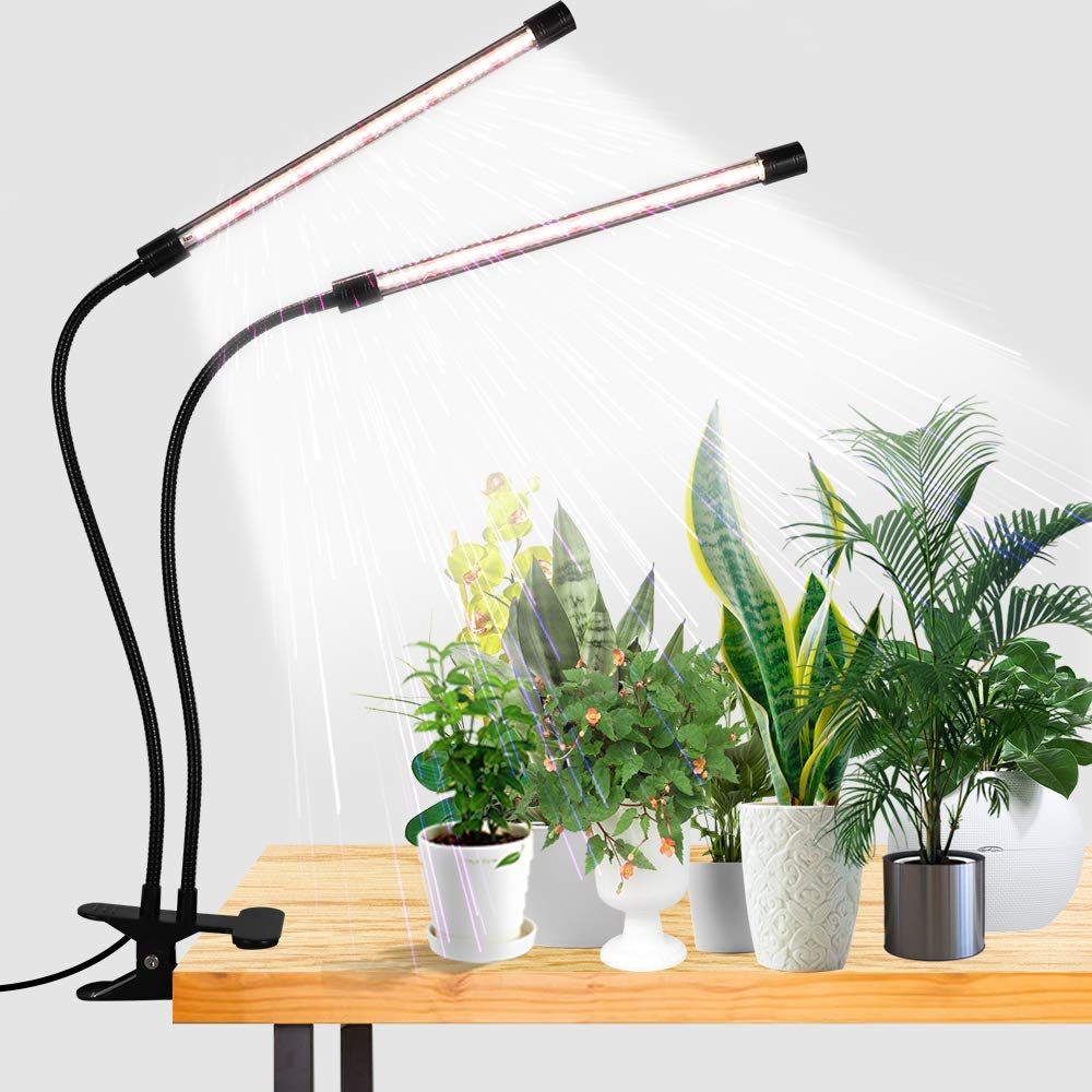 The Best Indoor Grow Lights to Keep Houseplants Healthy