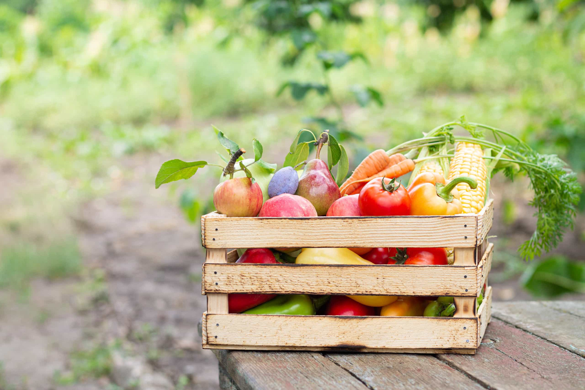 Everyday things you didn’t know you could be allergic to
