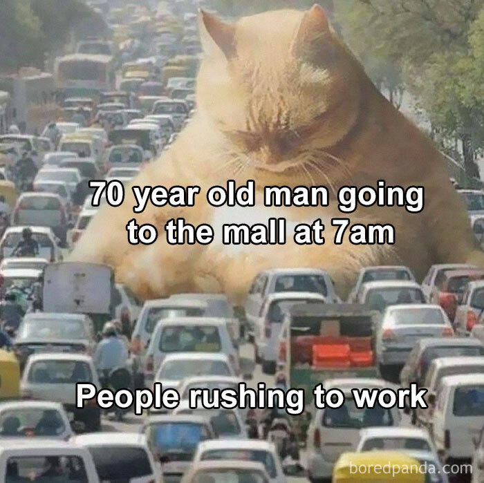 46 Funny Memes To Help You Get Through The Work Day