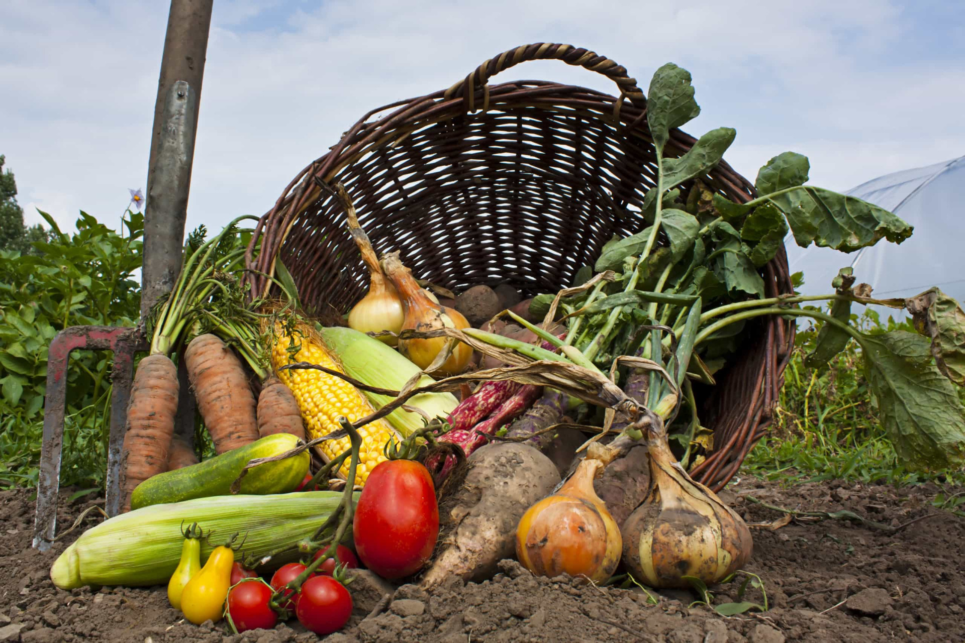Famosos que fazem aniversário no Ano Bissexto!