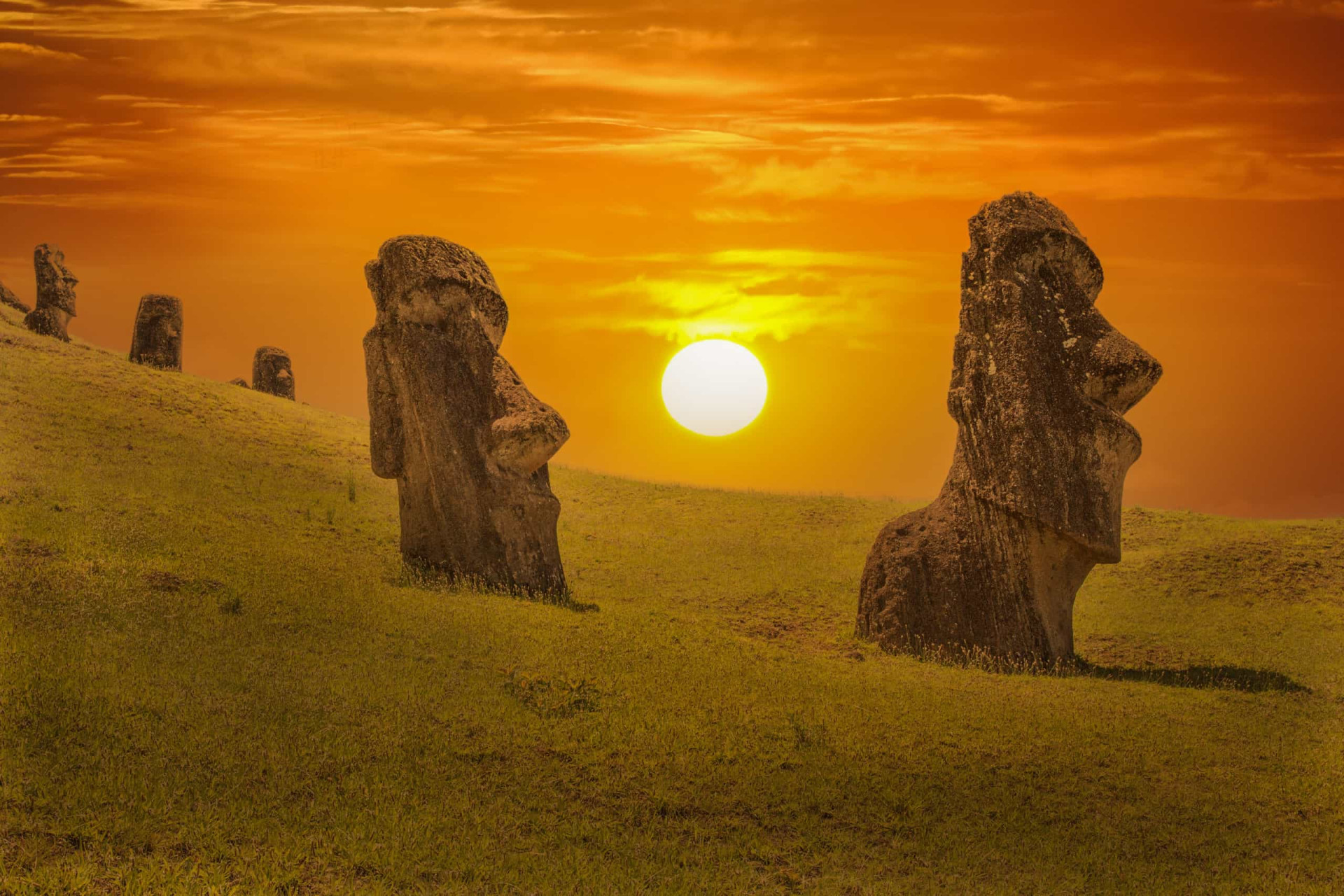 The most popular cakes from around the world