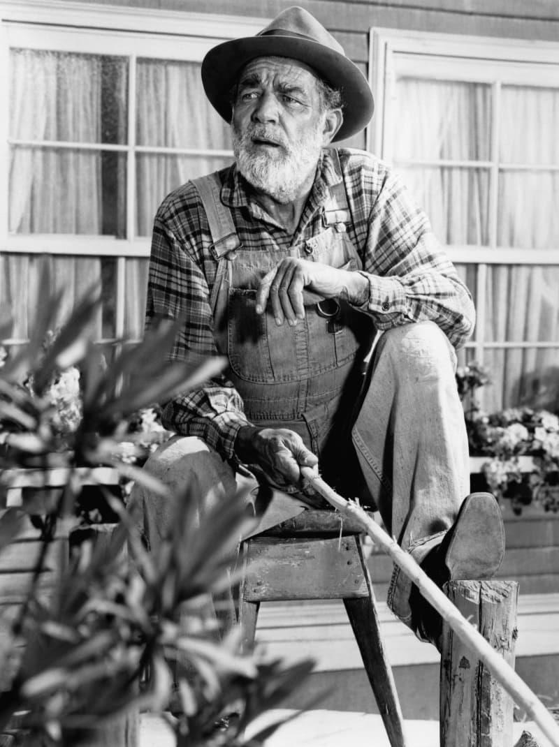 'Wagon Train': Actor Frank McGrath's Cause Of Death