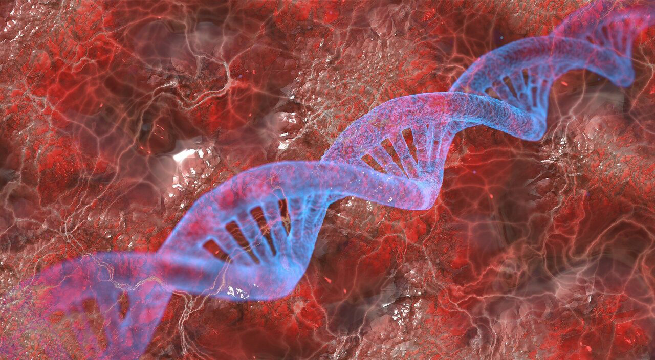 Novel quantum computing algorithm enhances single-cell analysis Novel quantum computing algorithm enhances single-cell analysis