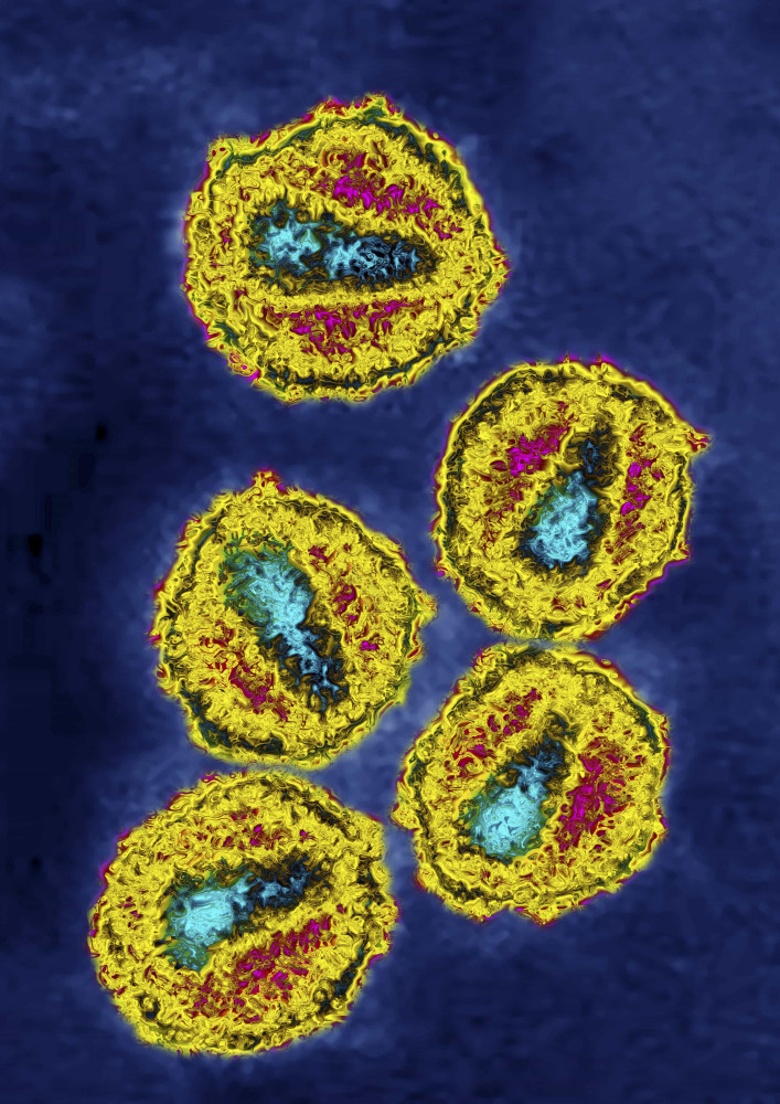 Take a look at the hidden sides of these familiar objects