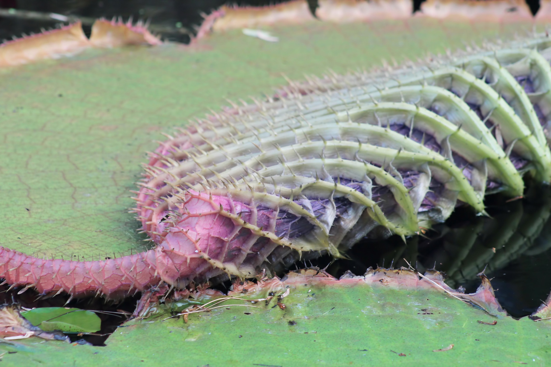 Take a look at the hidden sides of these familiar objects