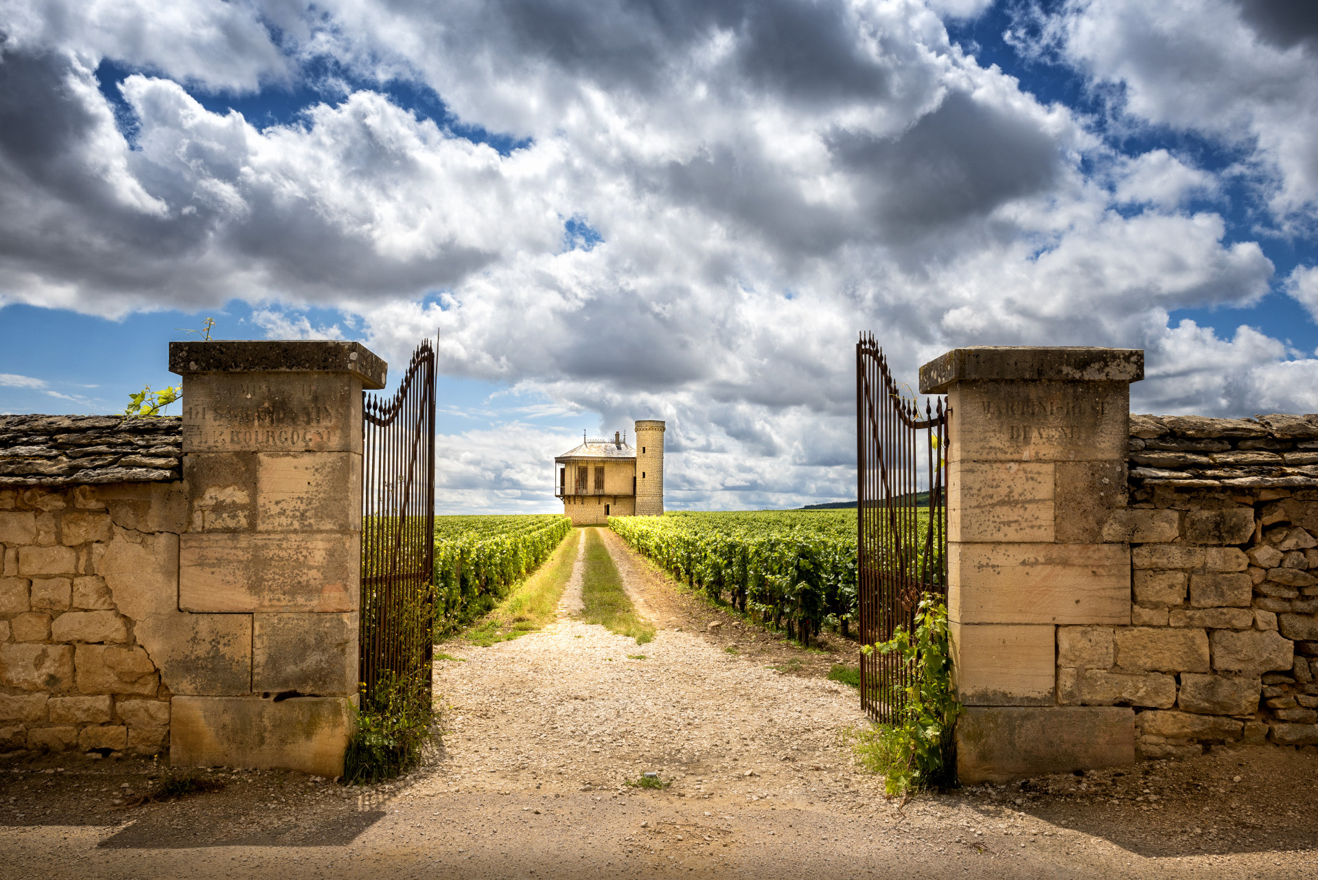 À la découverte des terroirs français : balades dans les vignobles