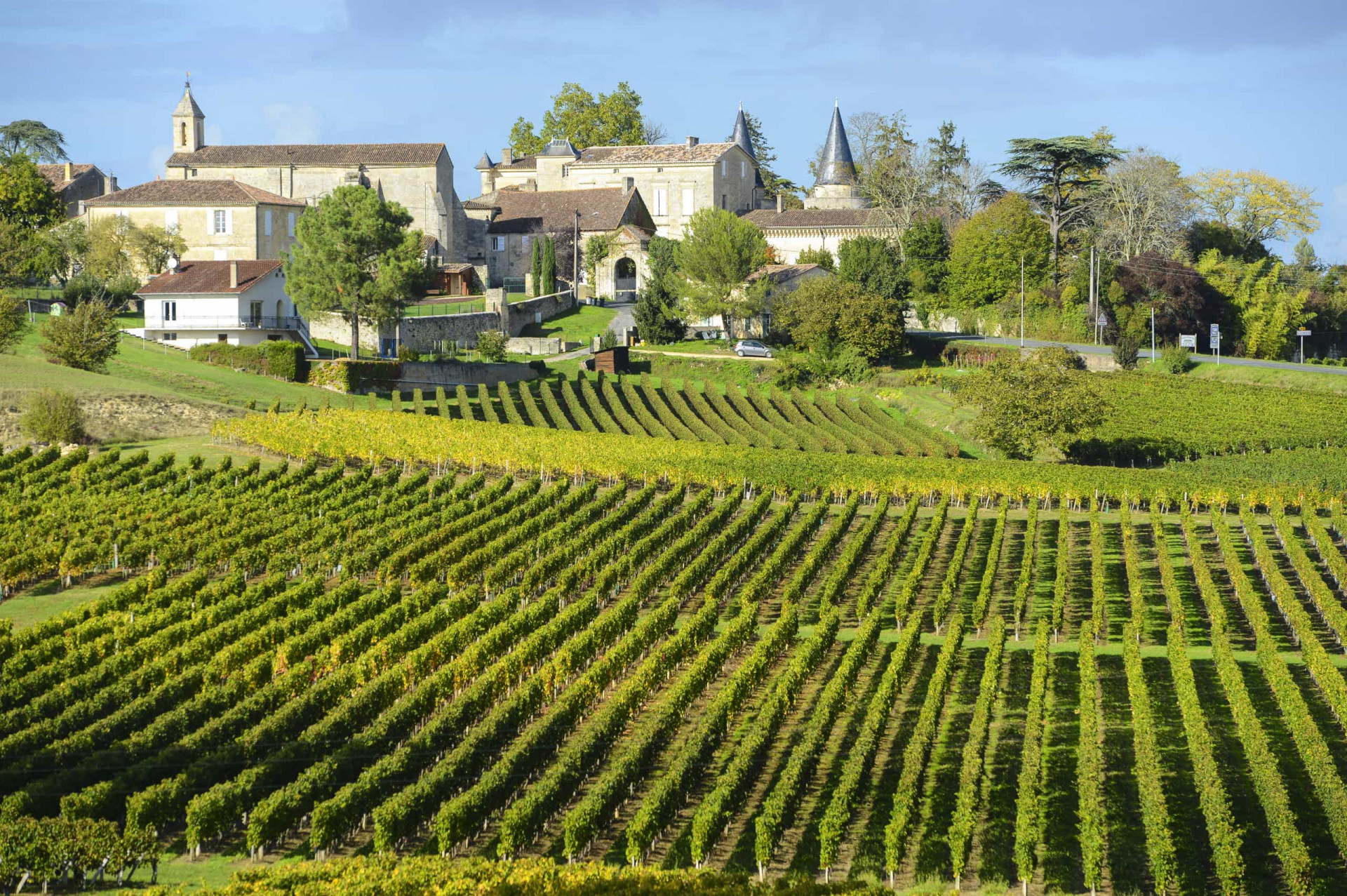 Balades au cœur des vignobles français