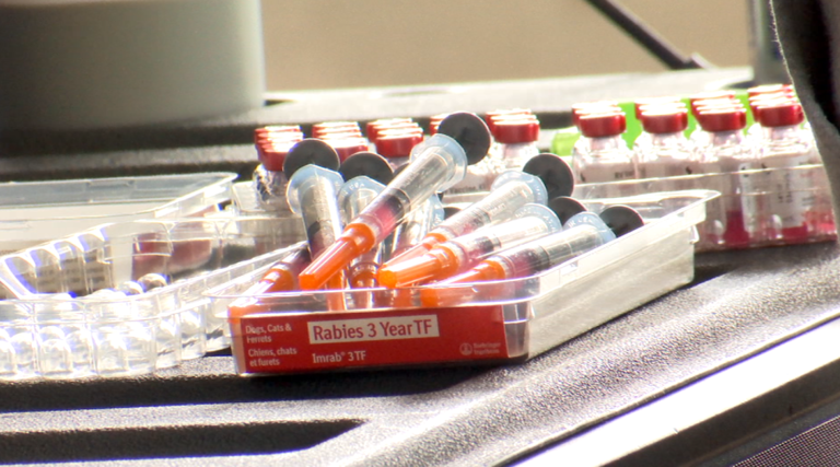 Rabid cat found in Hanover neighborhood, residents asked to report ...