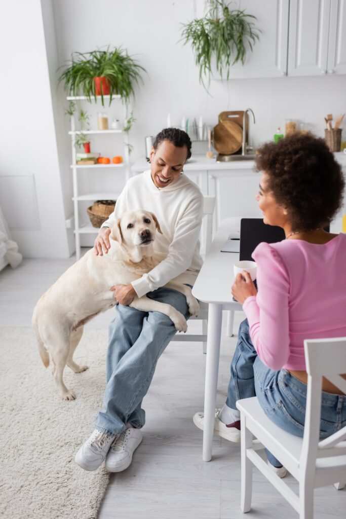 Why Does My Dog Pee When Excited or Greeting Someone?