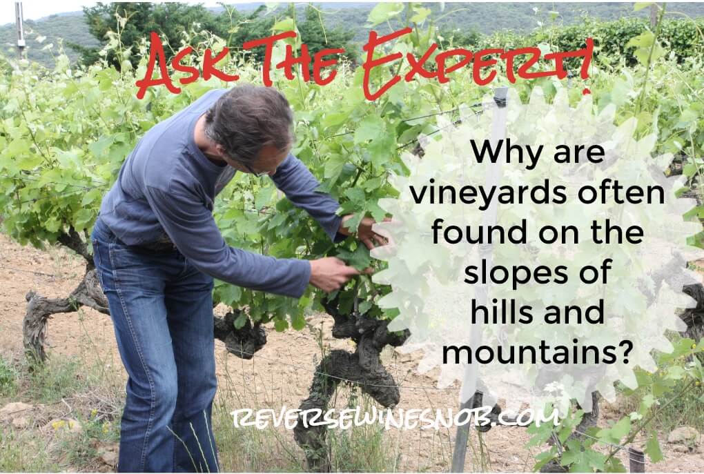 Why Are Vineyards Often Found On The Slopes of Hills and Mountains?