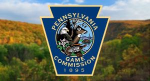 Deadly Disease Hits Pennsylvania Deer—What You Need to Know to Stay ...