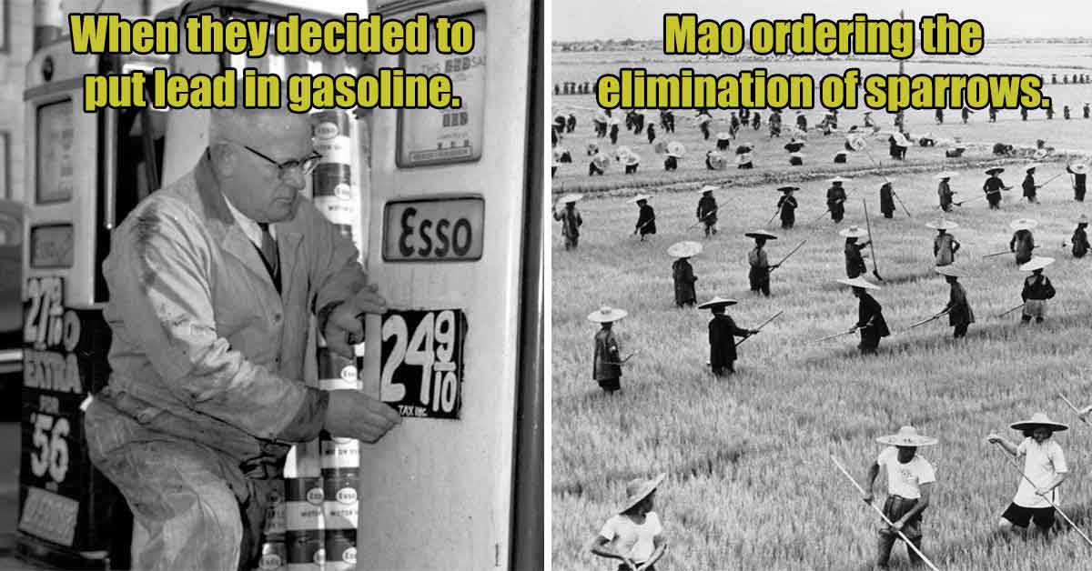 25 of the Worst Decisions People Collectively Made