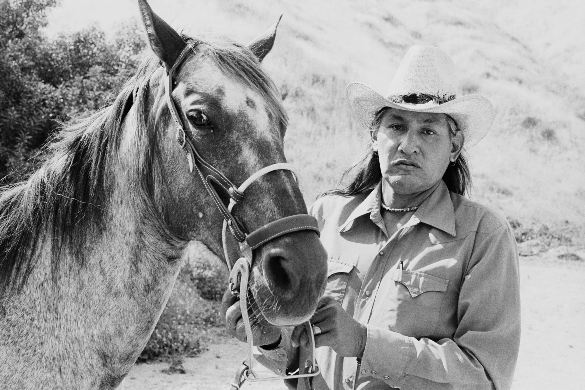 La letal 'Maldición Poltergeist' que costó la vida a muchos de sus ...