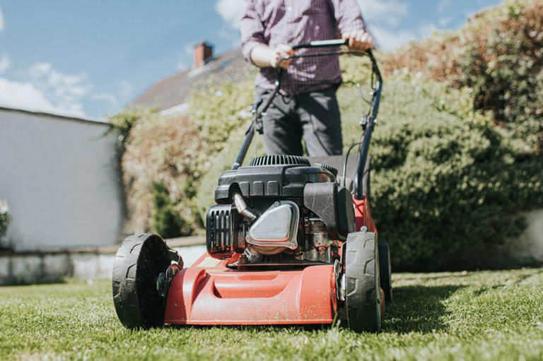 Gardeners warned not to mow lawns too early - and to avoid doing one ...