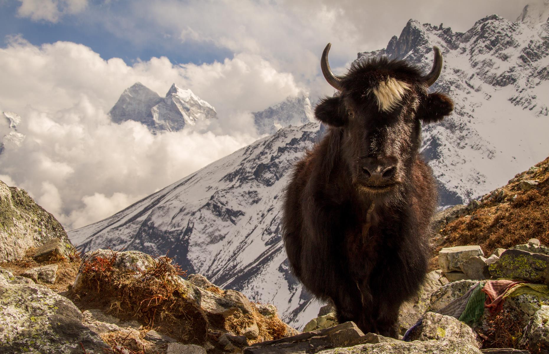 Philadelphia weather: Rain storms move through overnight; accumulating ...