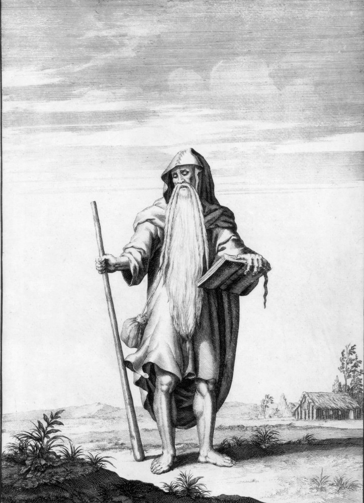 Who were the druids, and what did they do?