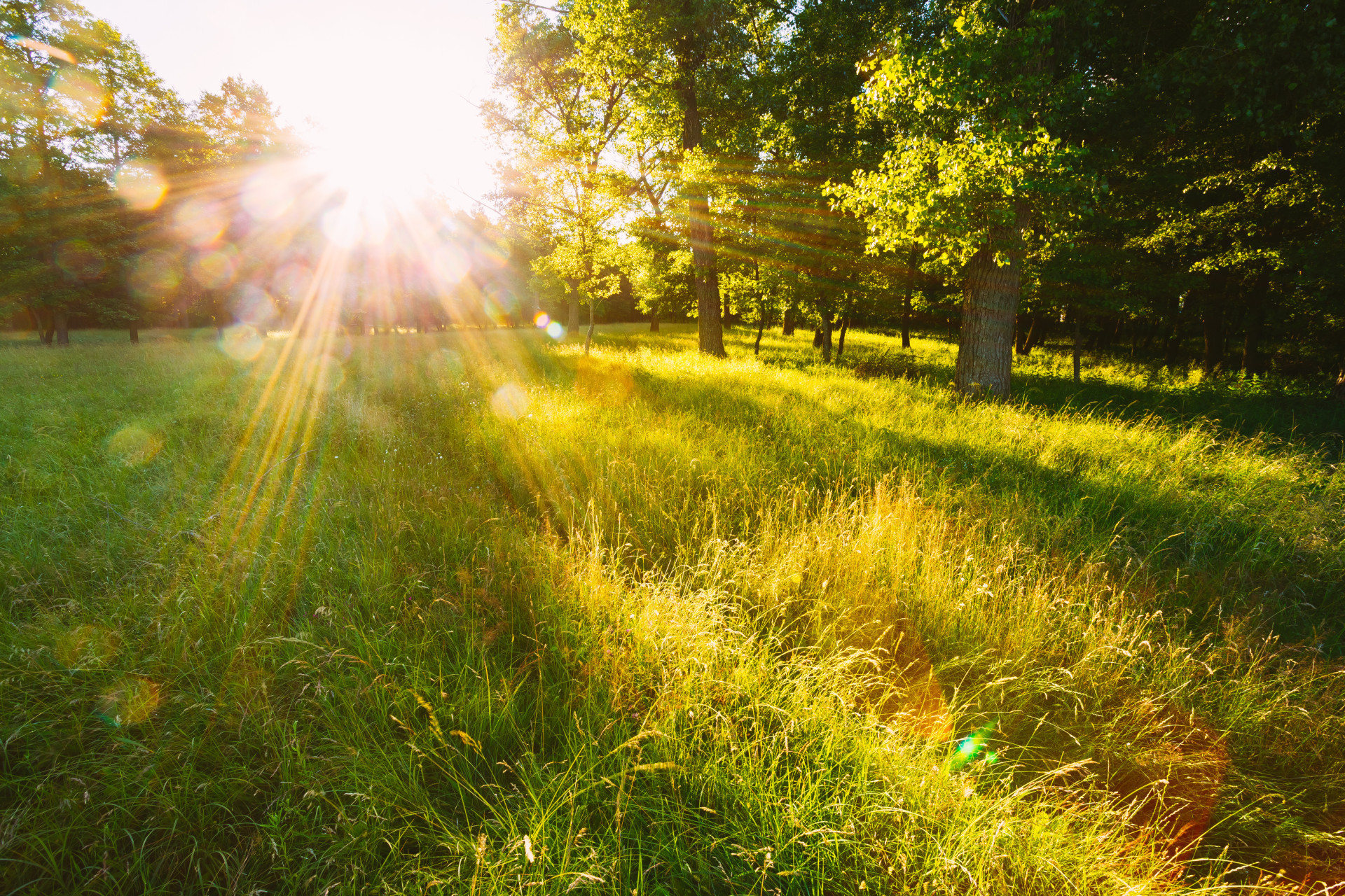 This is why contact with nature is good for your health