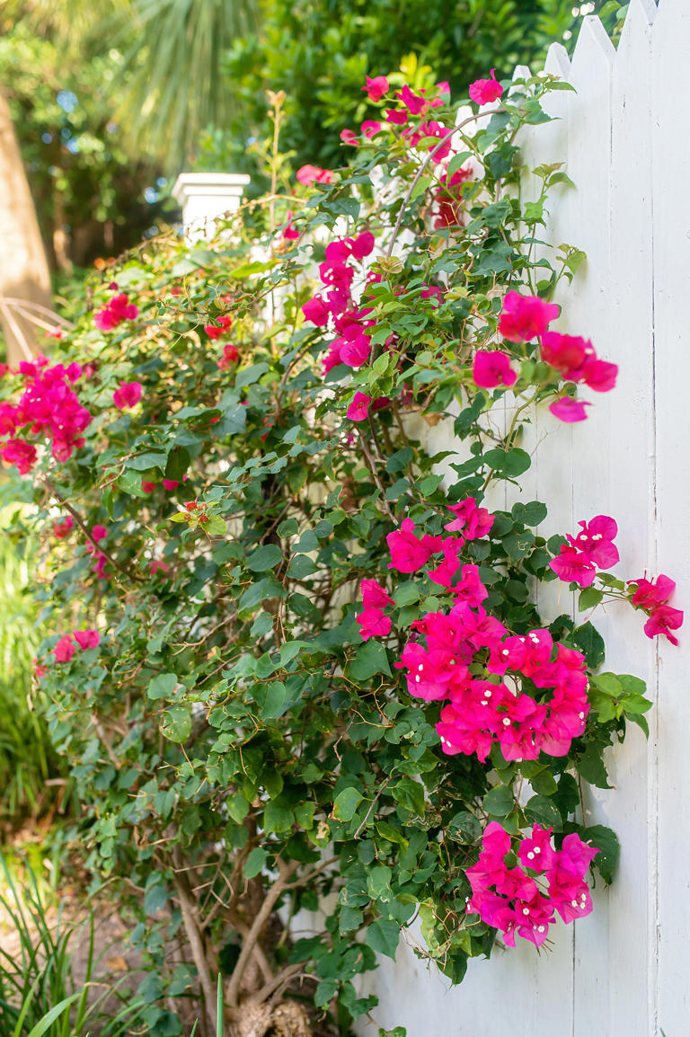 The Fascinating History of Key West, Florida