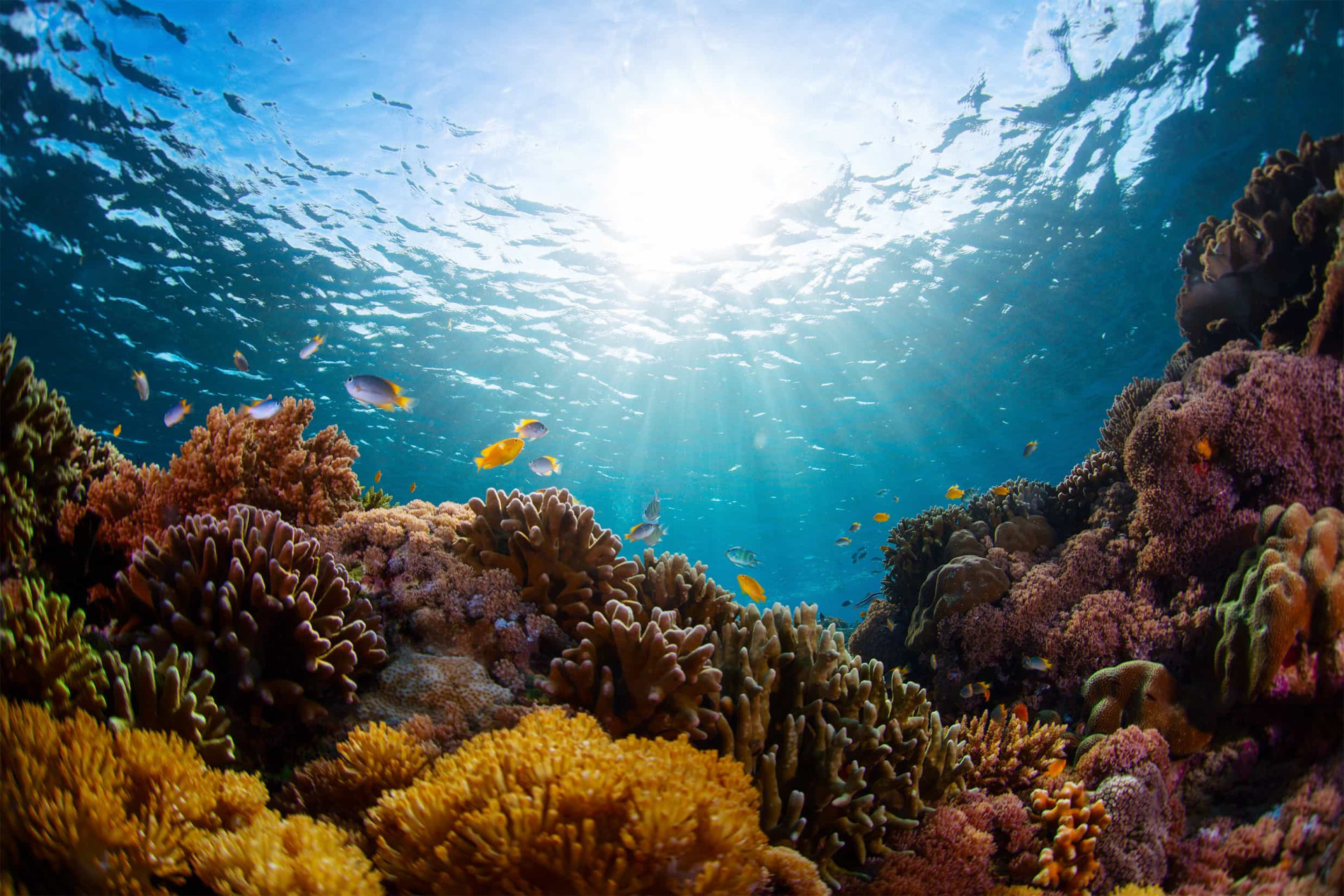 Natural wonders destroyed by tourists