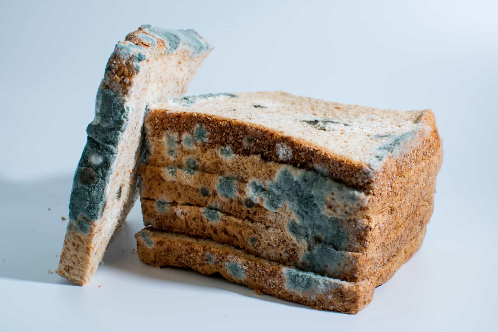 How to tell if food has gone bad