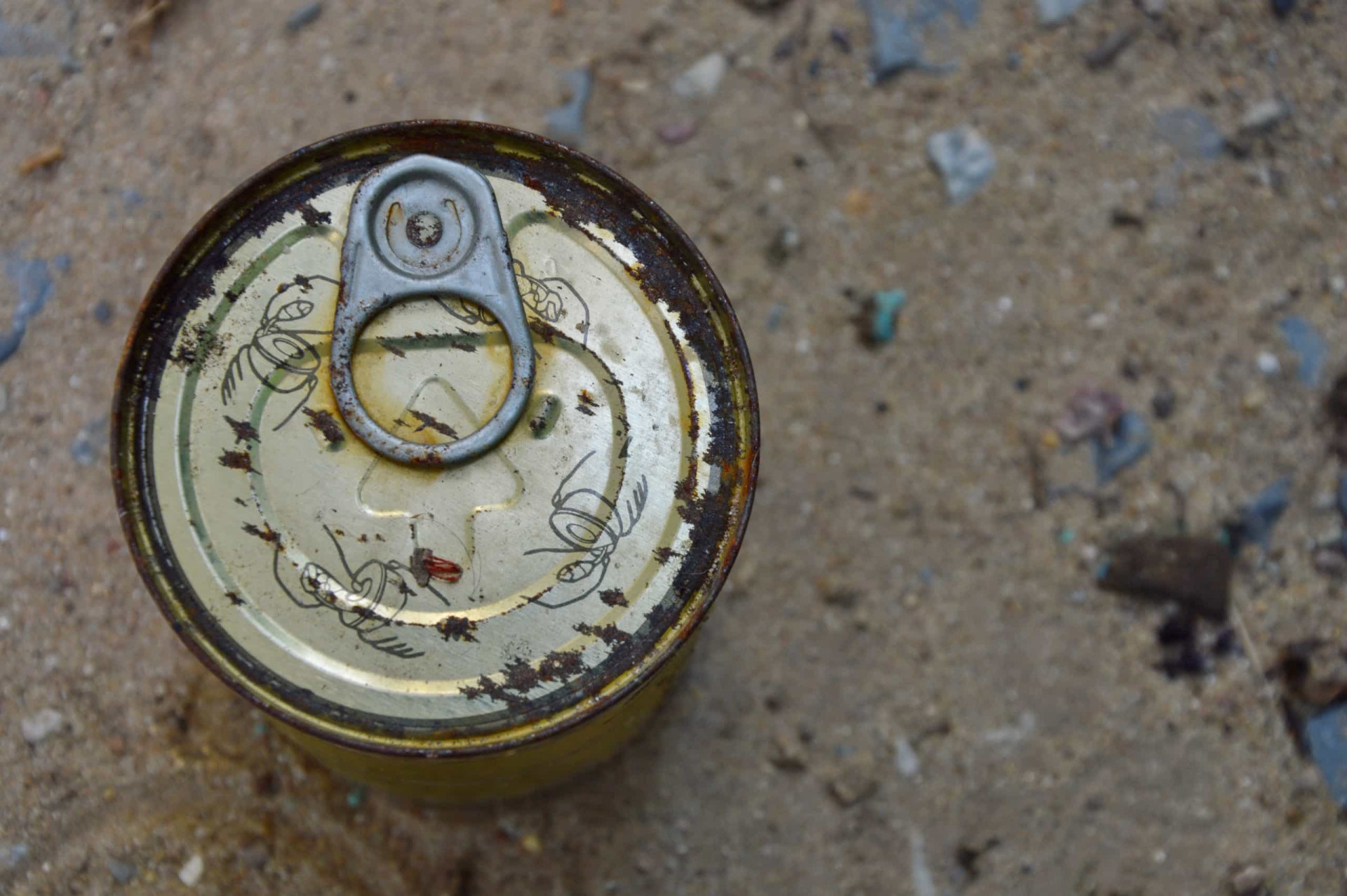 How to tell if food has gone bad