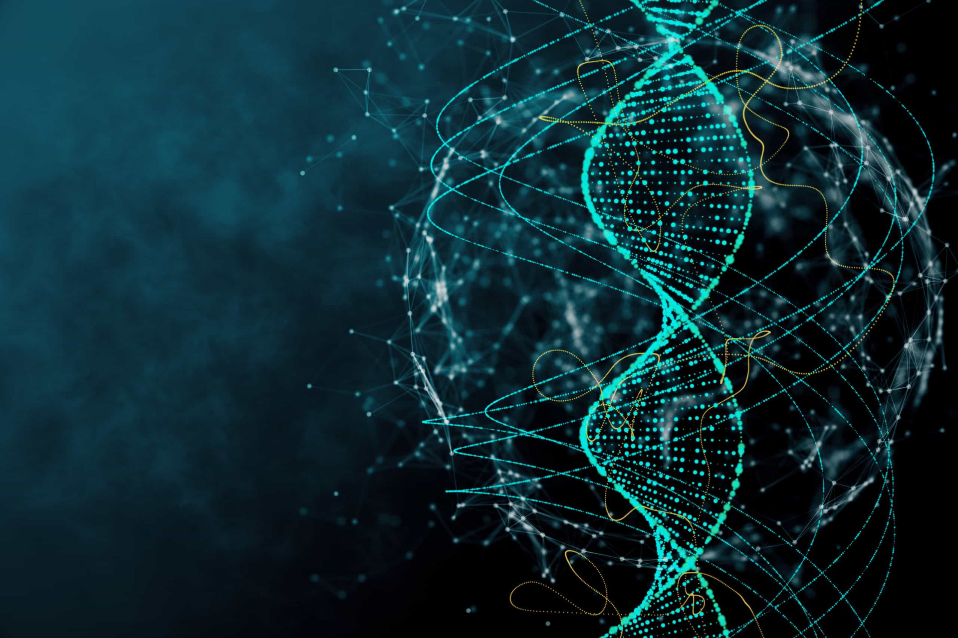Chimerism: The rare phenomenon of two sets of DNA