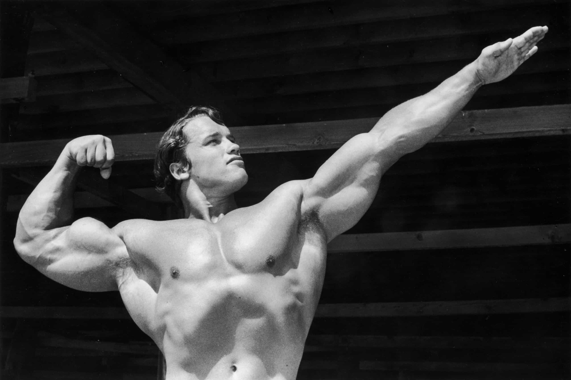 Du bodybuilding au cinéma : ces culturistes incontournables