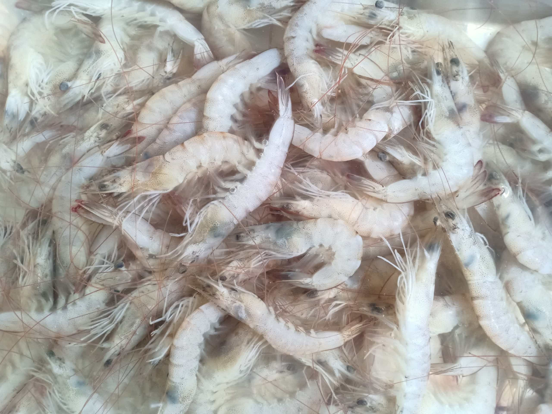 How to tell if food has gone bad