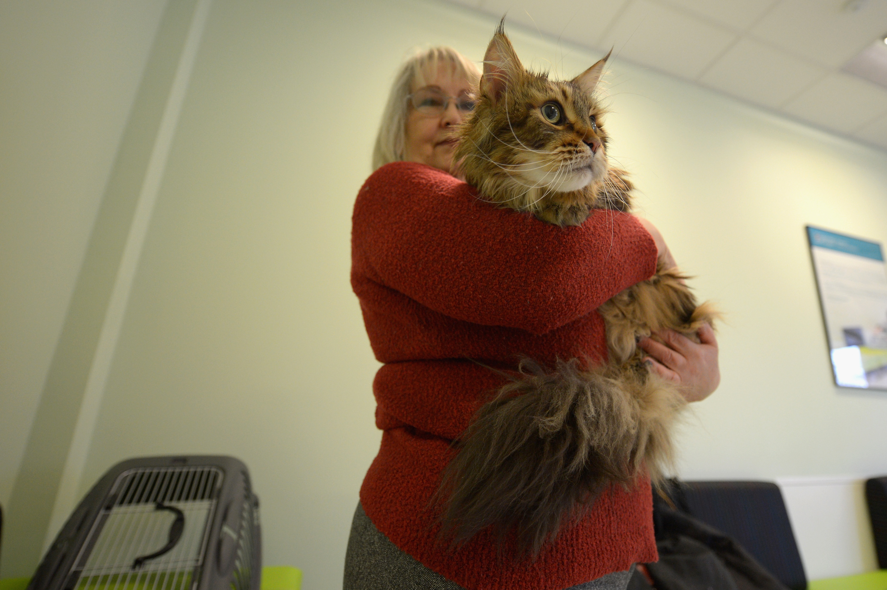 Chic Murray: 11 of the funniest jokes from the Greenock-born comedian