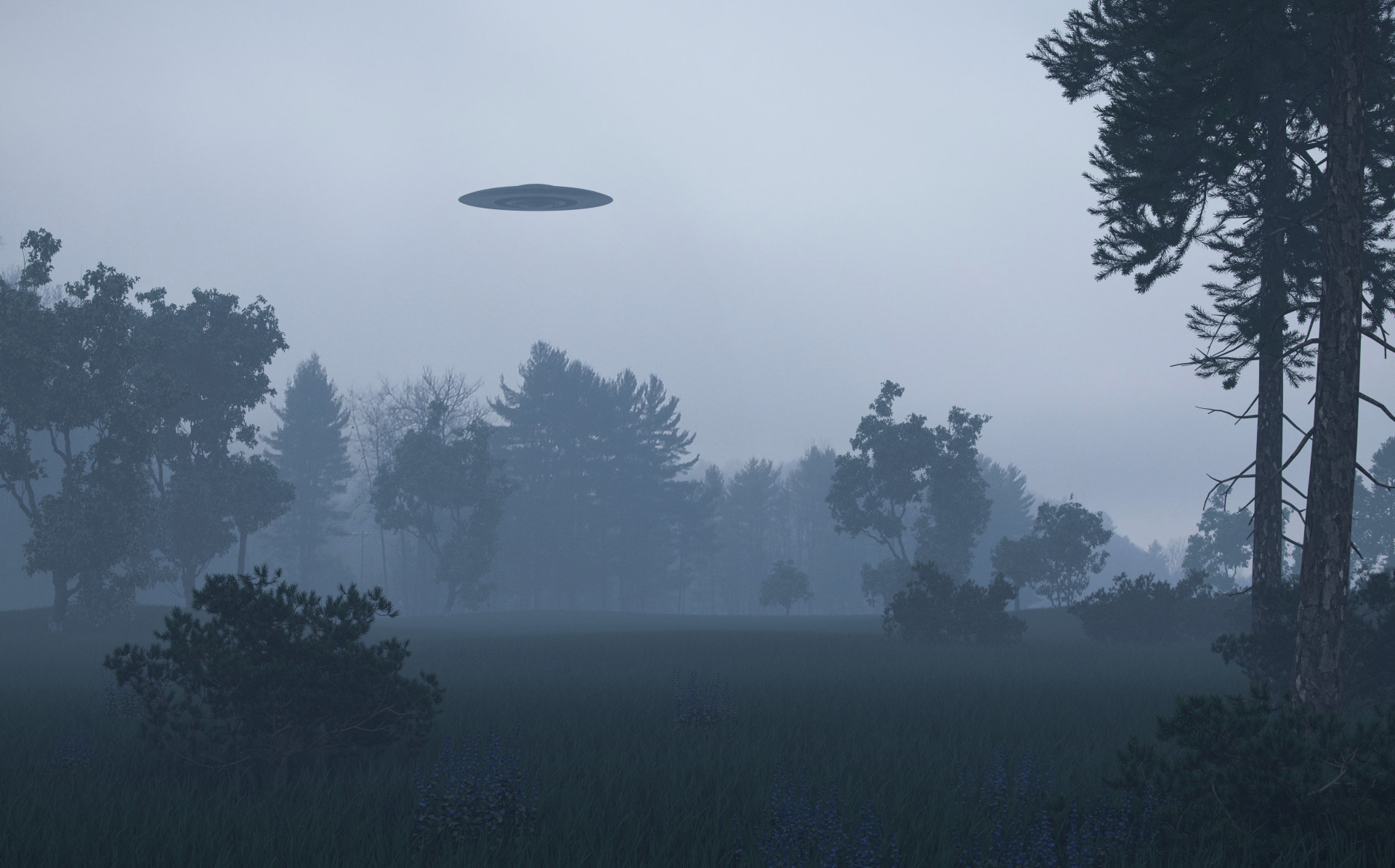 OVNI, triangle des Bermudes, paranormal : découvrez la forêt hantée la ...