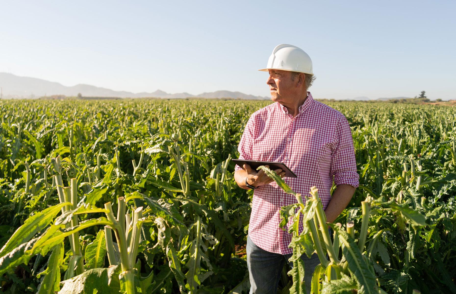 UFOs and human cloning: the story of Raëlism