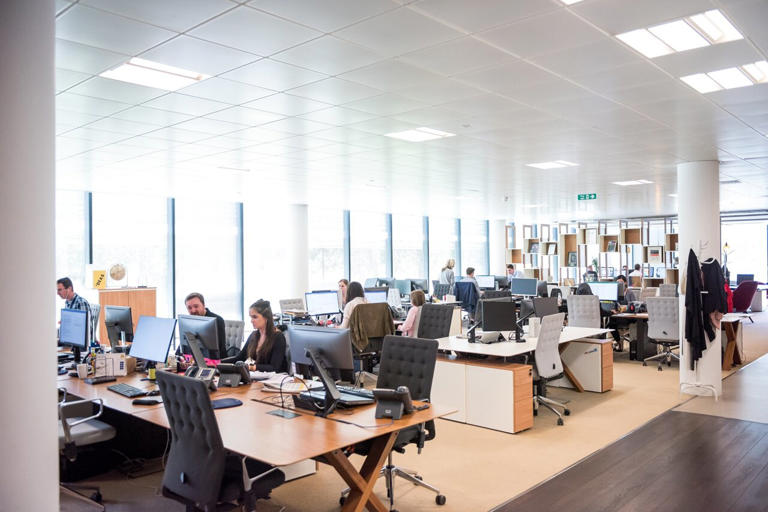 When employees feel slighted, they work less, research reveals