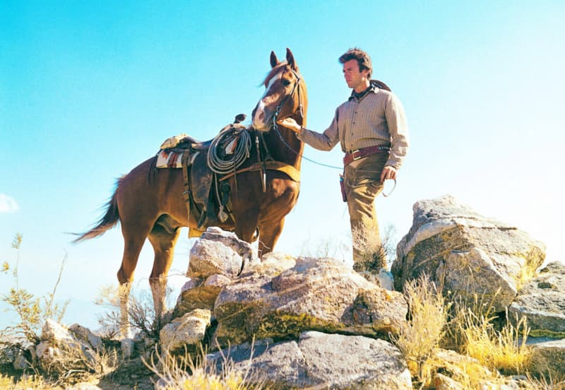 'Rawhide': Fun Facts About The Classic Western TV Show