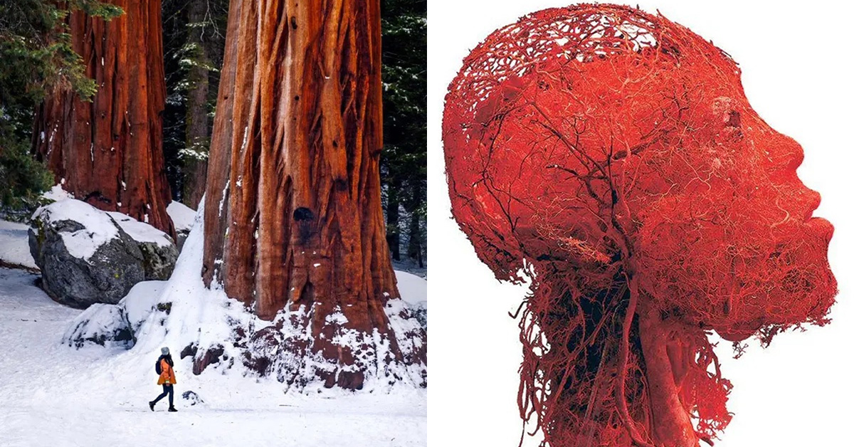 21 Poignant Photos to Pique Your Interest