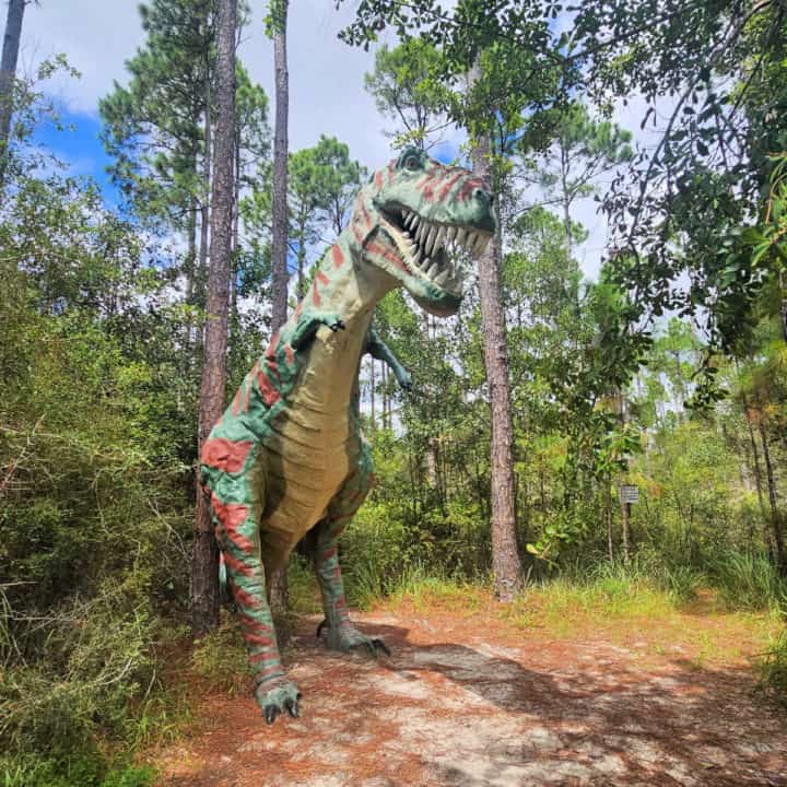 Unique Things to do in Gulf Shores & Orange Beach