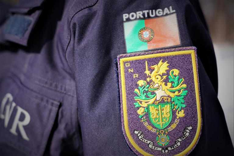 Mais de um milhão de cigarros ilegais apreendidos: homem detido pela ...