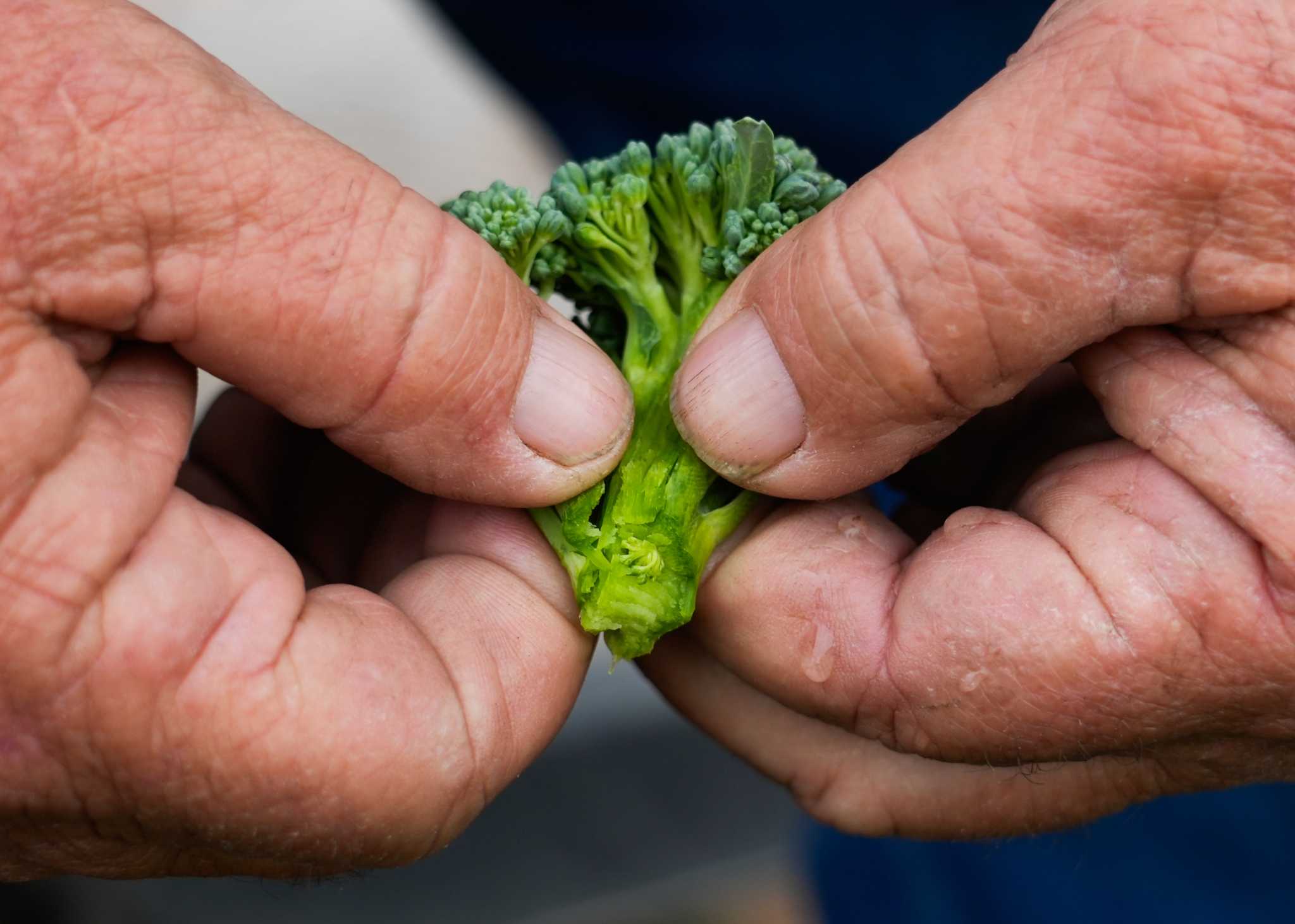 Braga Fresh recalls broccoli florets sold at Walmart stores, including ...