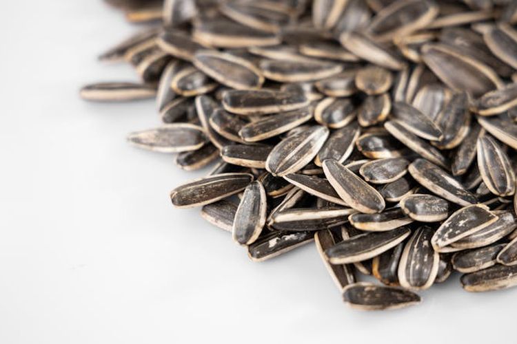 Manfaat Istimewa Kuaci: 11 Alasan Mengapa Anda Harus Mengonsumsi si ...