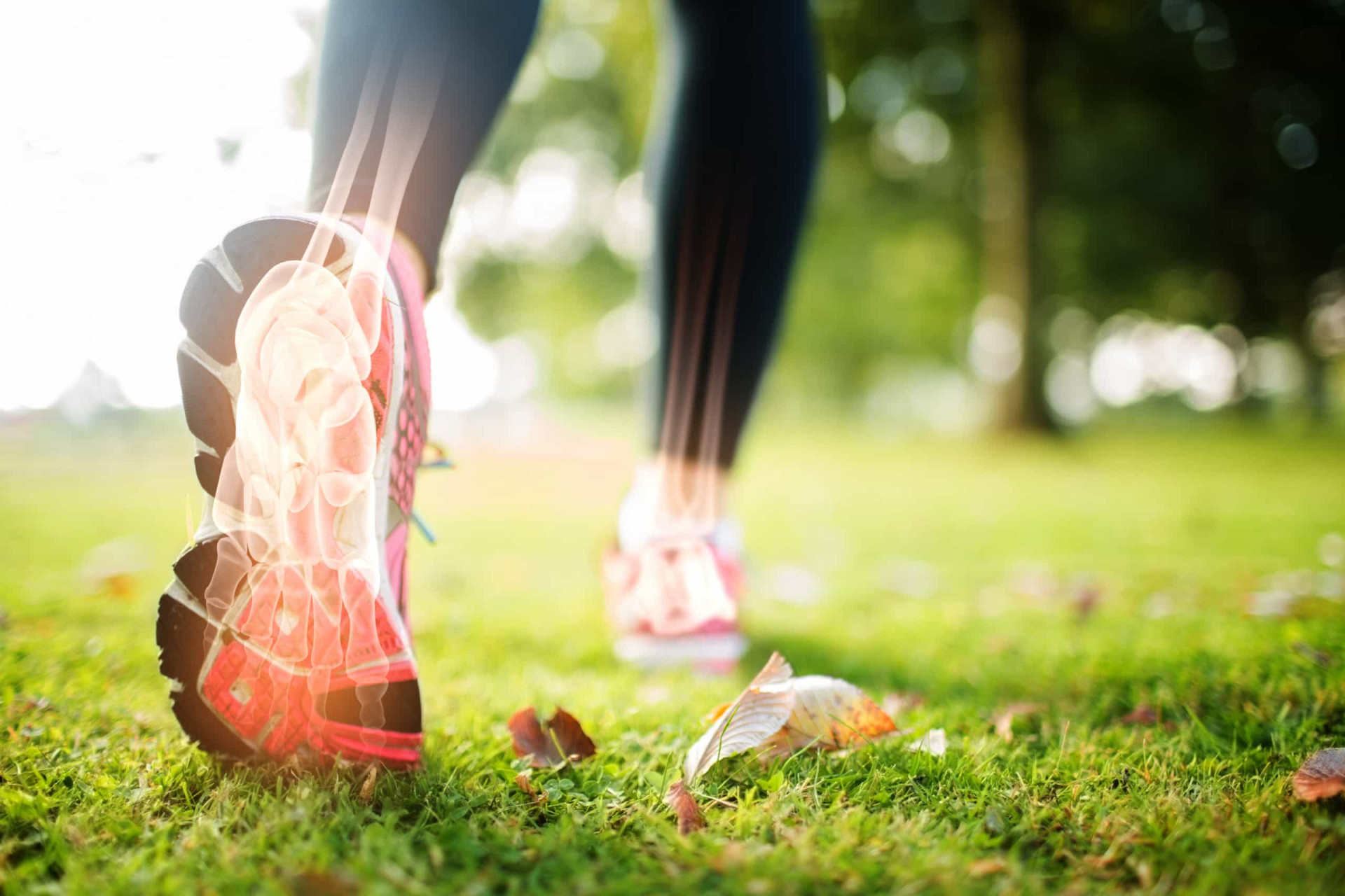 How to build healthy bones