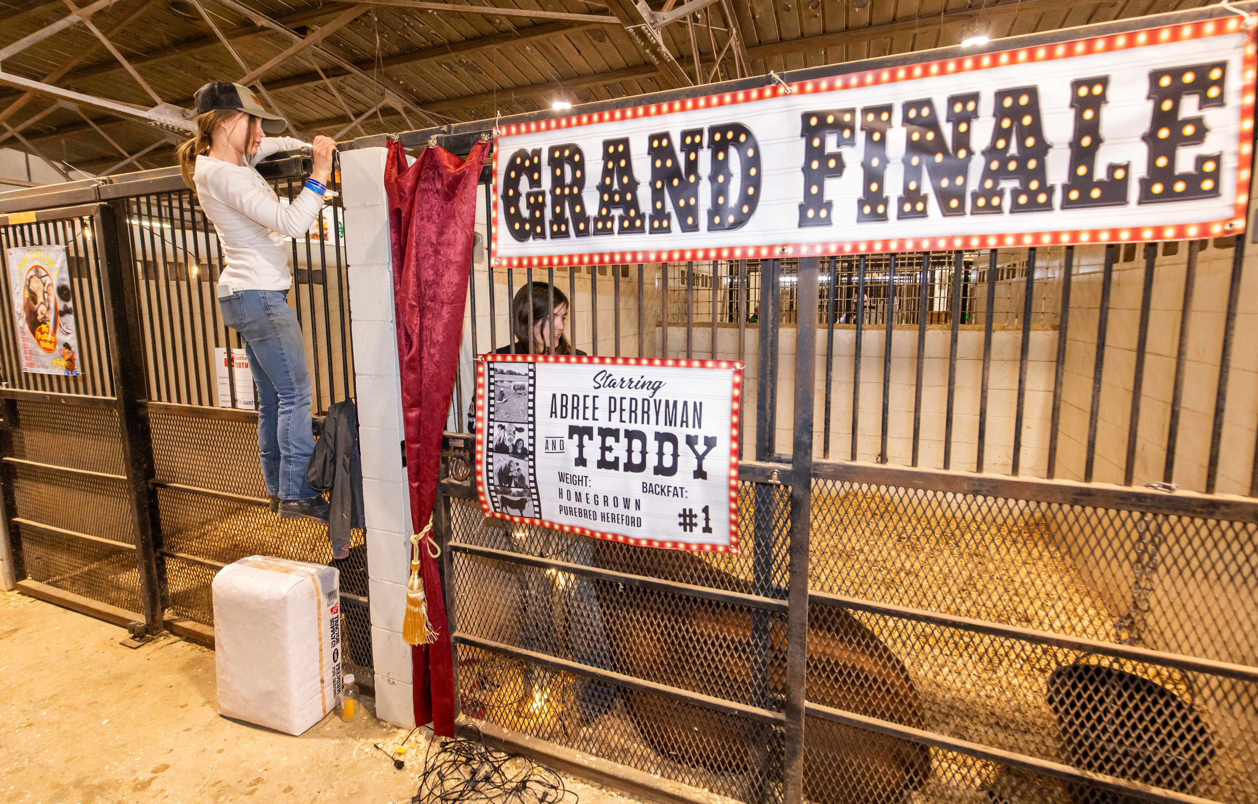 Youth fair, Greek festival, Kingdom of the Sun: Big weekend in Ocala ...