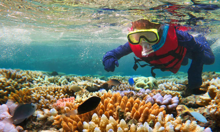 Australia is building a “living library” for ocean species