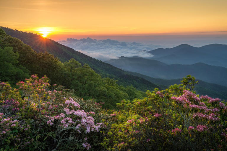 Roanoke Valley recognized as ‘Best of the Blue Ridge for 2025’ by Blue Ridge Outdoors