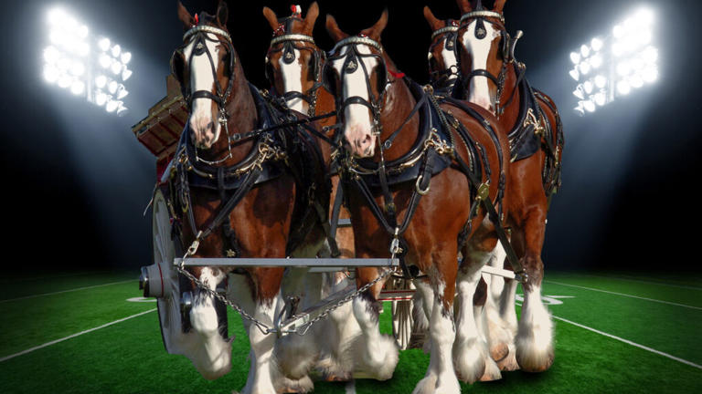 When Did Budweiser Air the First Clydesdale Super Bowl Ad? Plus, the ...