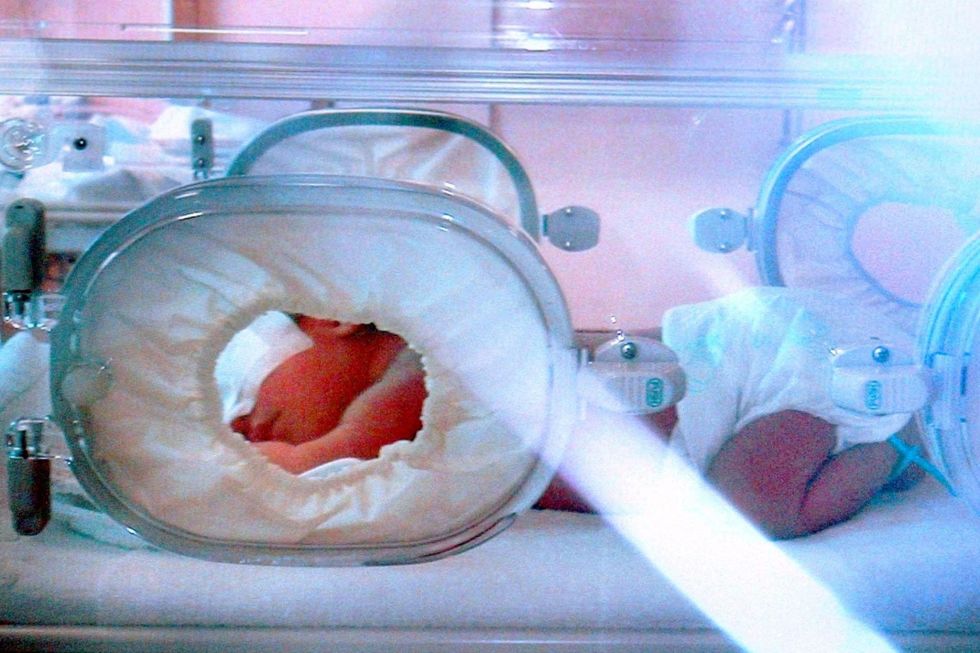 Los humanos son un experimento de los alienígenas: las locas teorías ...