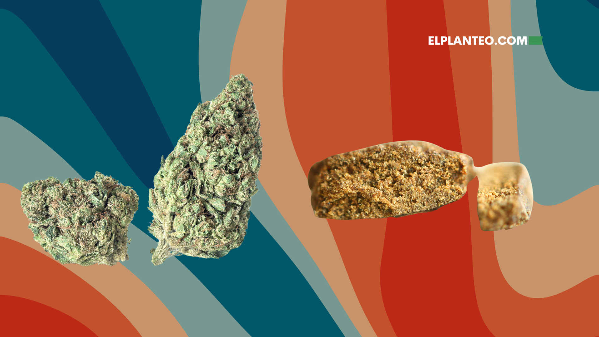 ¿Cuál Es la Diferencia entre Marihuana y Hachís?