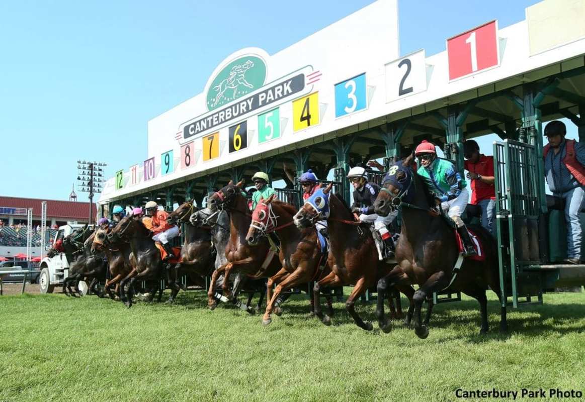 Minnesota Thoroughbred Yearling Sale Set For Sunday, August 24
