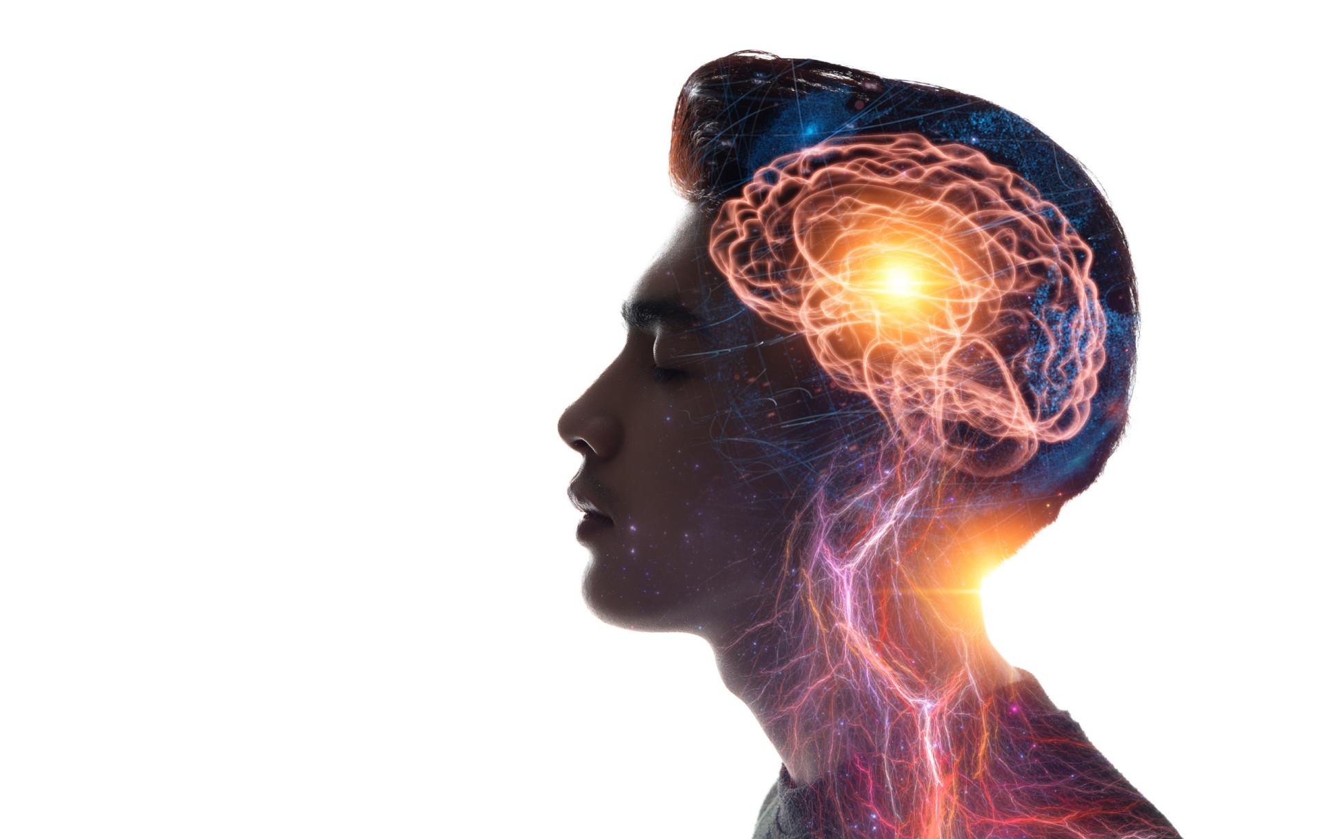 What does an IQ test actually measure?