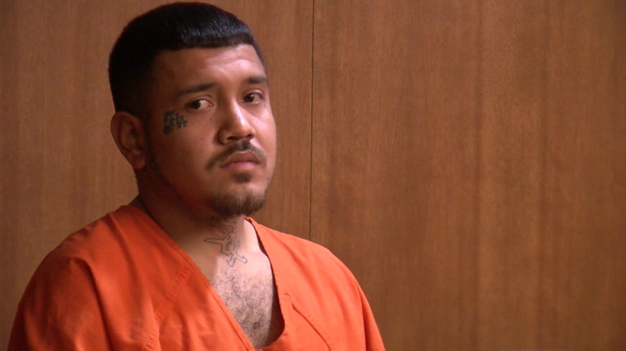 Accused impaired driver ordered to trial on murder charges in Planz Rd ...