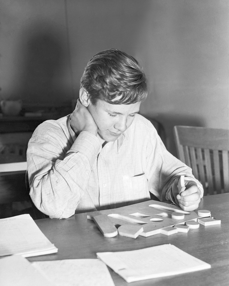What does an IQ test actually measure?