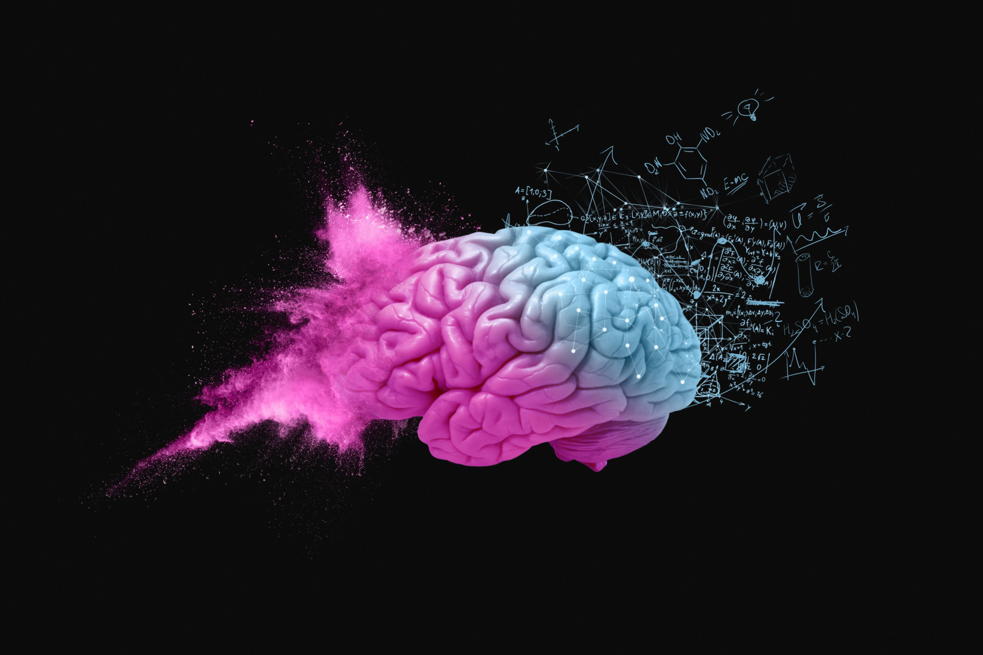 What does an IQ test actually measure?